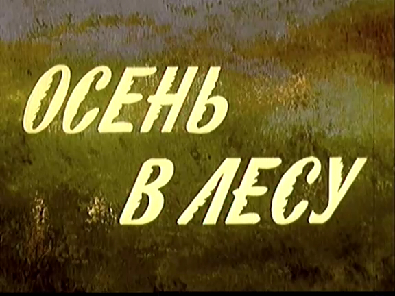 Осень в лесу