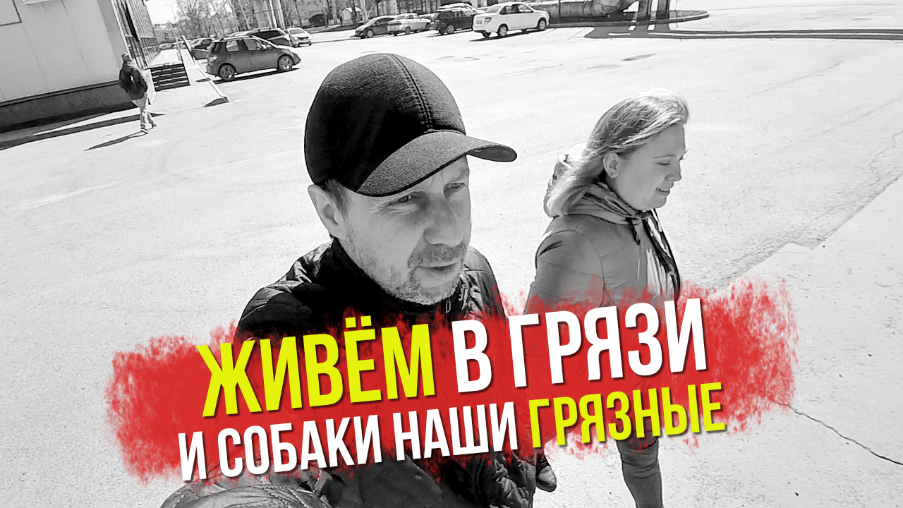 Странная Маша. Ламинария для шпеценария. Грязные и лохматые шпицы. Дачный сезон