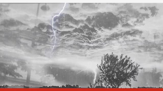 ❗🌐🌩️WWE🌩️🌐❗