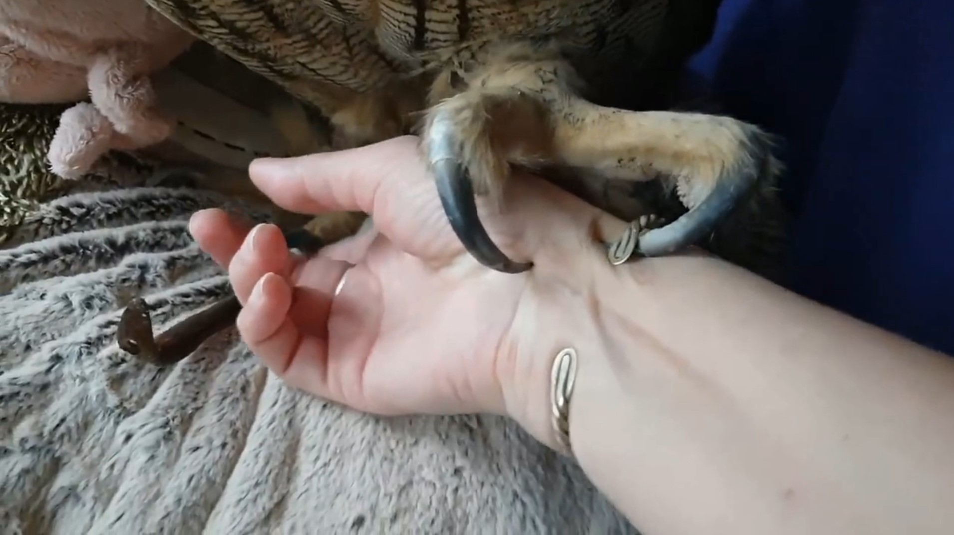 ПОДБОРКА ☕ ИНТЕРЕСНОСТЕЙ и ПРИКОЛОВ #3