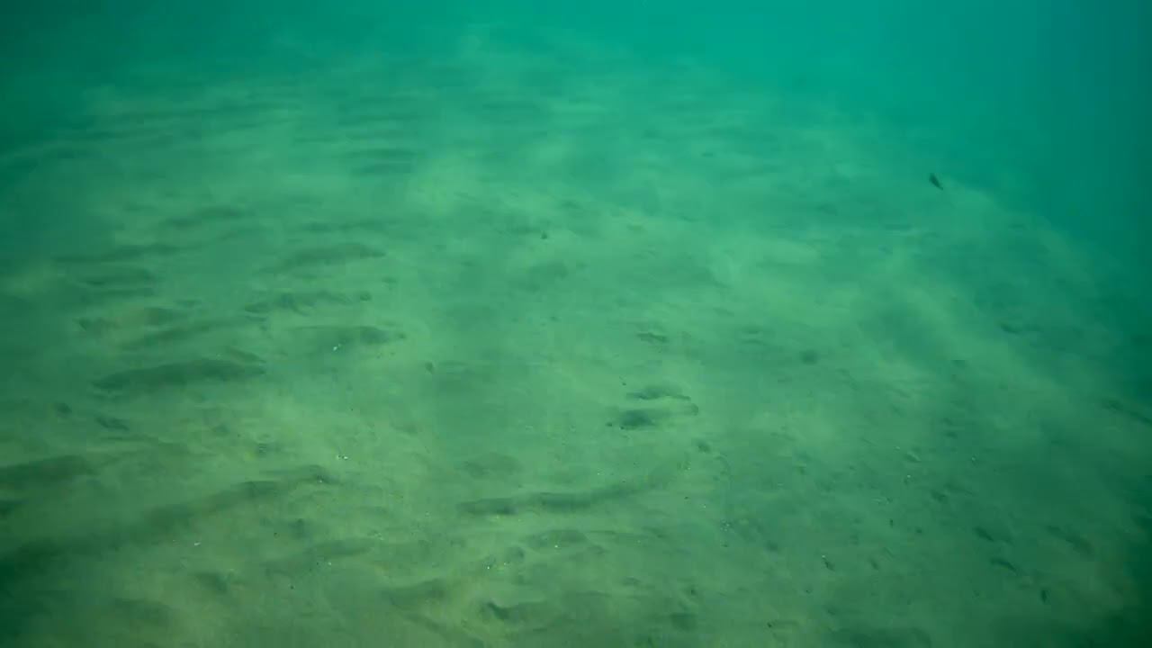 Черное море Благовещенская