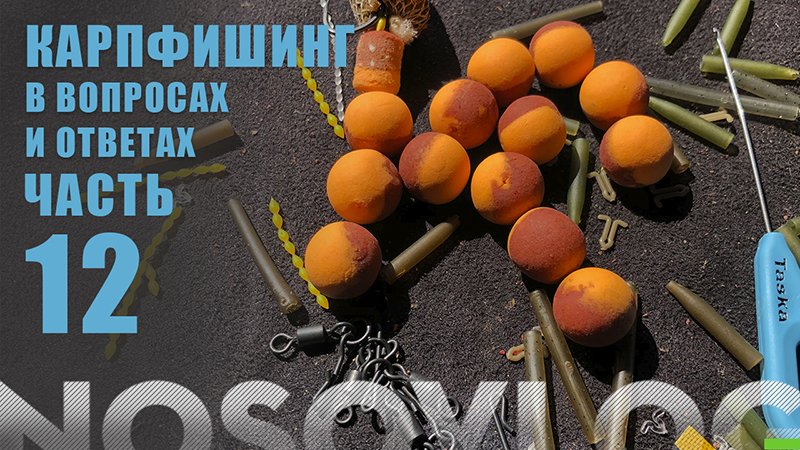 Карпфишинг в вопросах и ответах, выпуск 12, Колесников А.