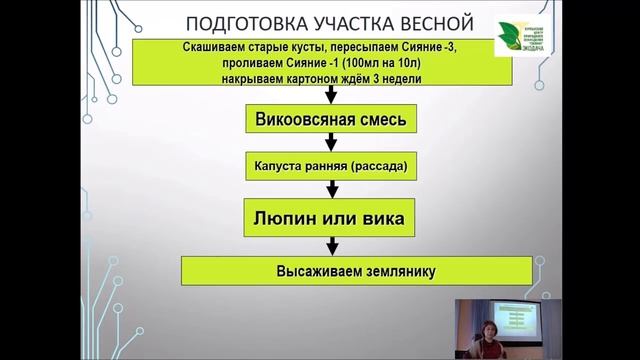 Выращивание земляники