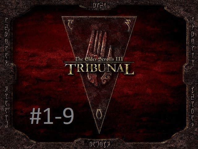 TESIII Tribunal #1-9 Сваха.mp4