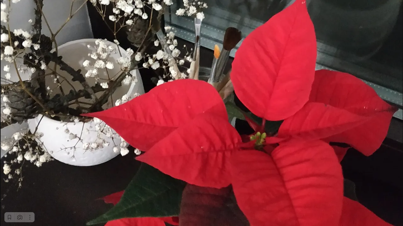 РОЖДЕСТВЕНСКИЙ ДЕКОР?️ ЗИМНИЕ РАЗВЛЕЧЕНИЯ ❄️ Декабрь 2021