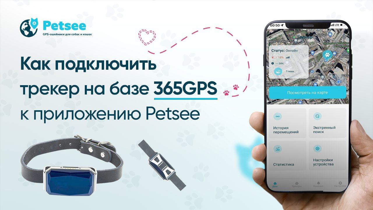 Как подключить GPS трекер для собак и кошек на базе 365GPS к российскому приложению Petsee