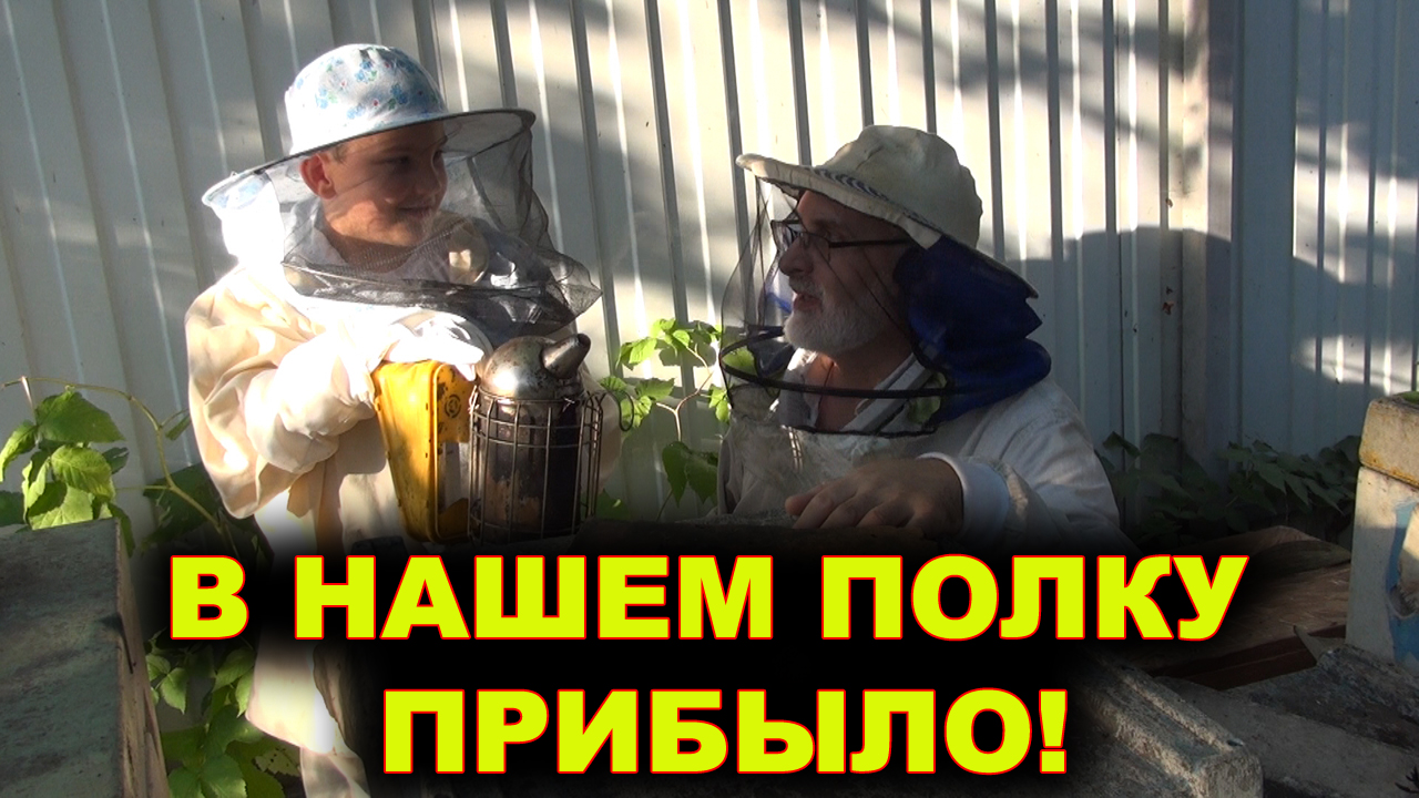 Внук на пасеке.
