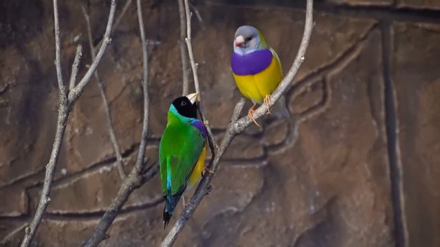 Увидеть реальные причины. 10 июня. День за днем в Ал-анон. Ежедневник для созависимых.