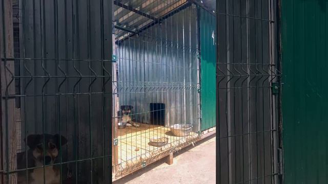 В СЕМЬЕ ПОПОЛНЕНИЕ