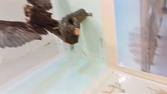 Краеведческий музей Курск