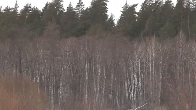 ЧП в заповеднике 'Приволжская степь'  Январь 2011 год.