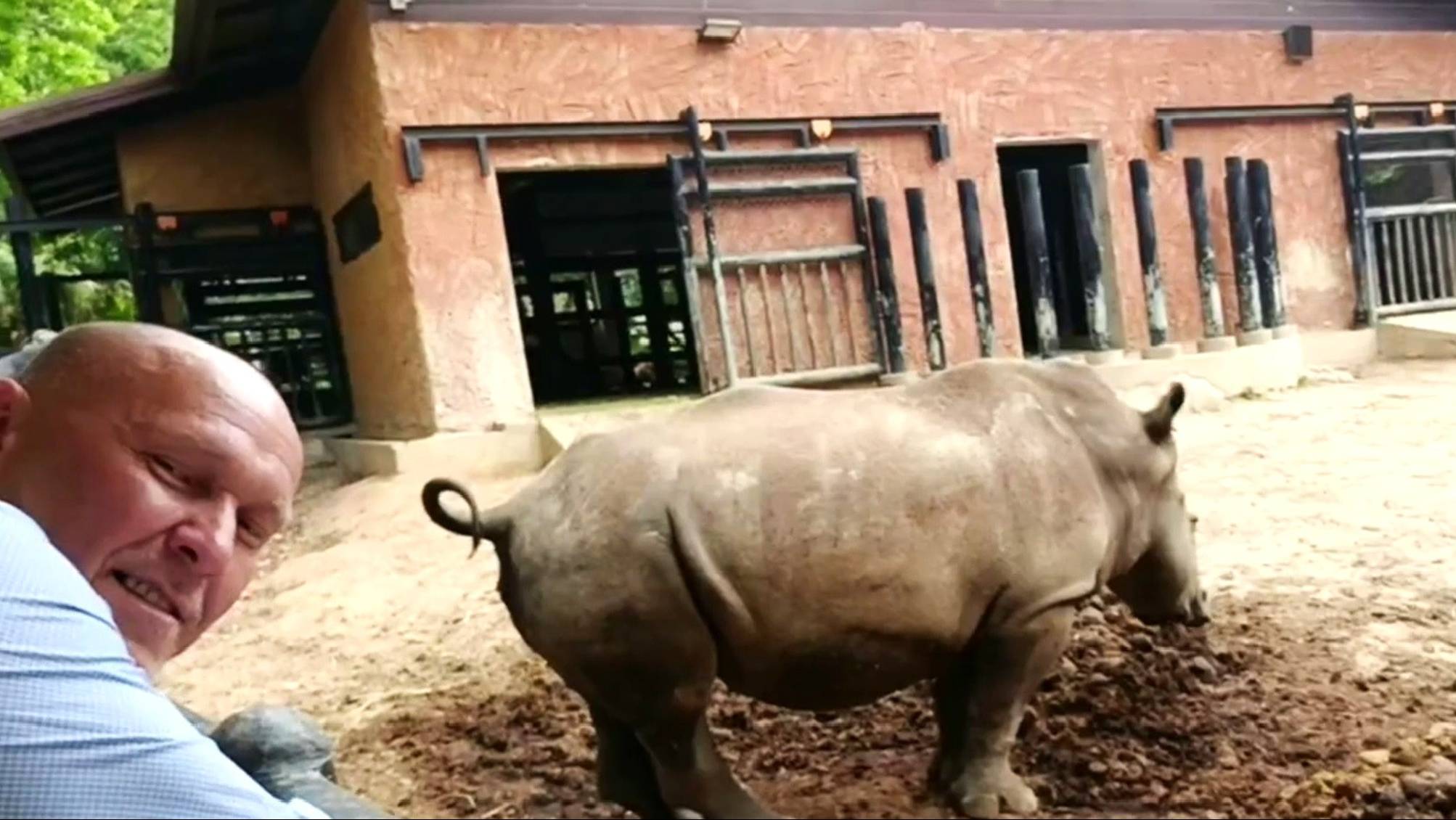 Зоопарк. Кхао Кхео. Это нужно видеть.