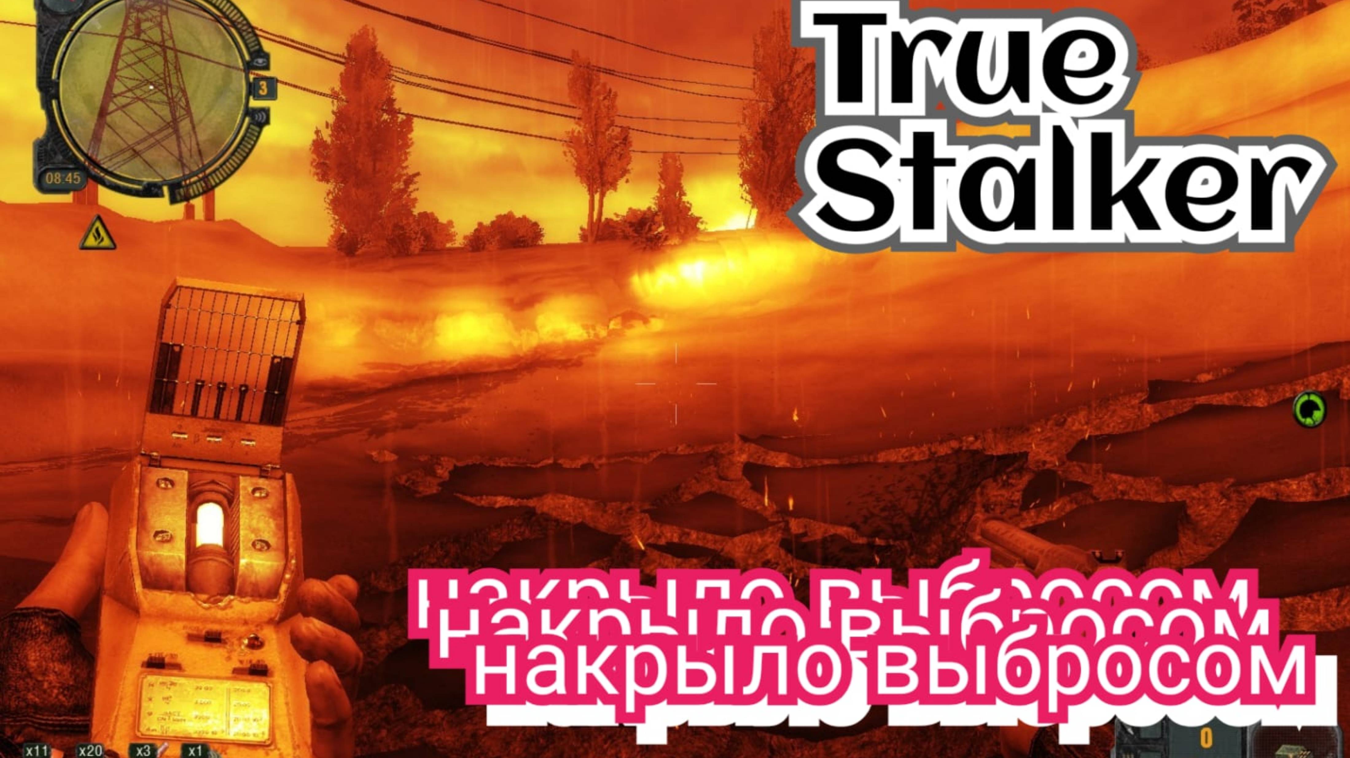 True Stalker (Накрыло выбросом)