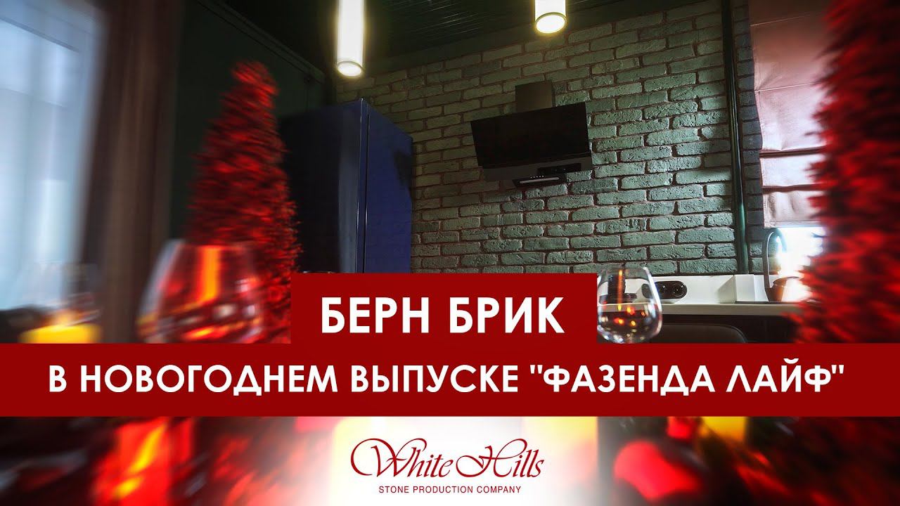 Берн Брик в новогоднем выпуске "Фазенда Лайф"