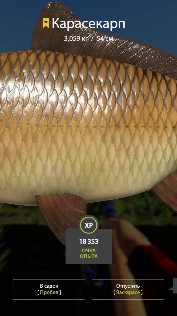 оз.Медное Трофейный Карасекарп 2  подрят  точка 61:53 клипса 12