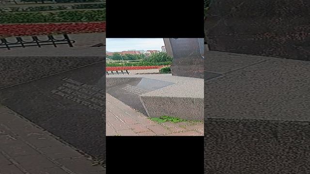 Сосновый Бор