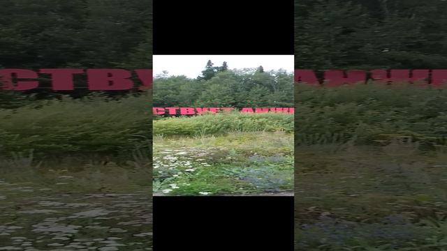 город в Кузбассе #путешествие #туризм #знакомство #shorts