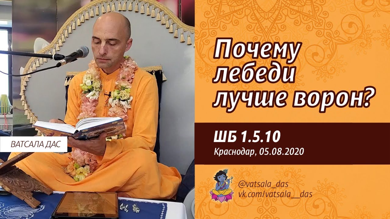ШБ 1.5.10. Почему лебеди лучше ворон? (Краснодар, 05.08.2020). Ватсала дас