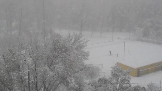 Московское, воскресное, снежное, 04.02.2018