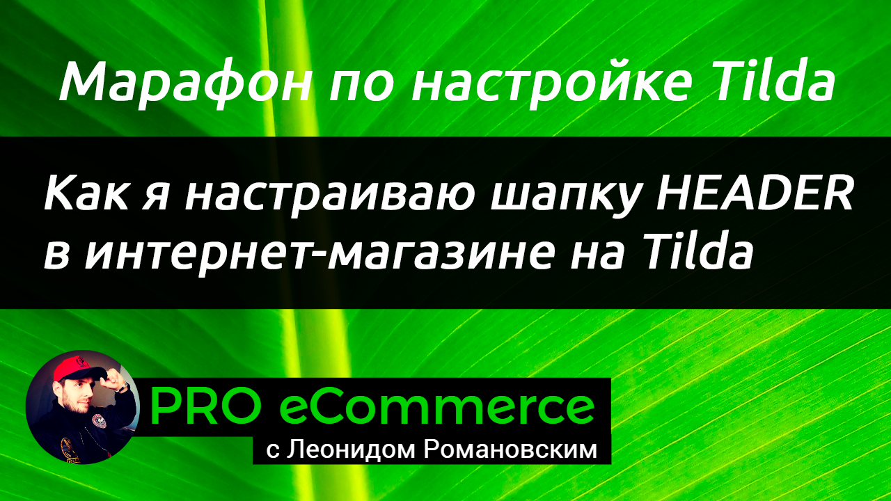 Как я настраиваю шапку HEADER в интернет-магазине на Tilda