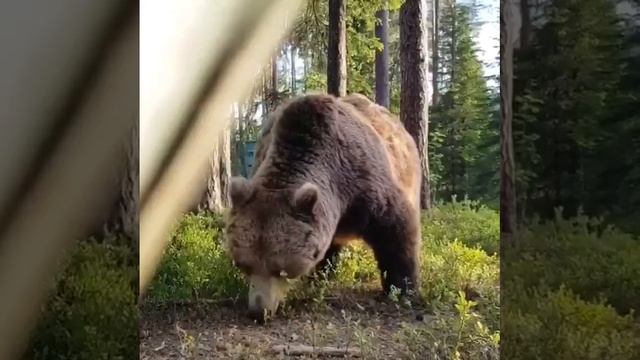 Доброе утро