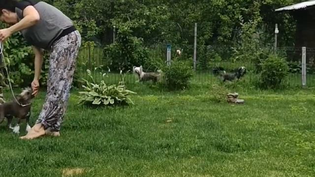 8 июля полным ходом идёт подготовка к выставке