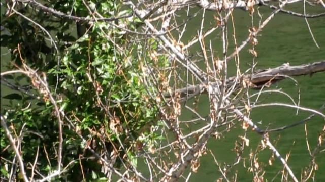 Поездка в долину Чулышман - 2022