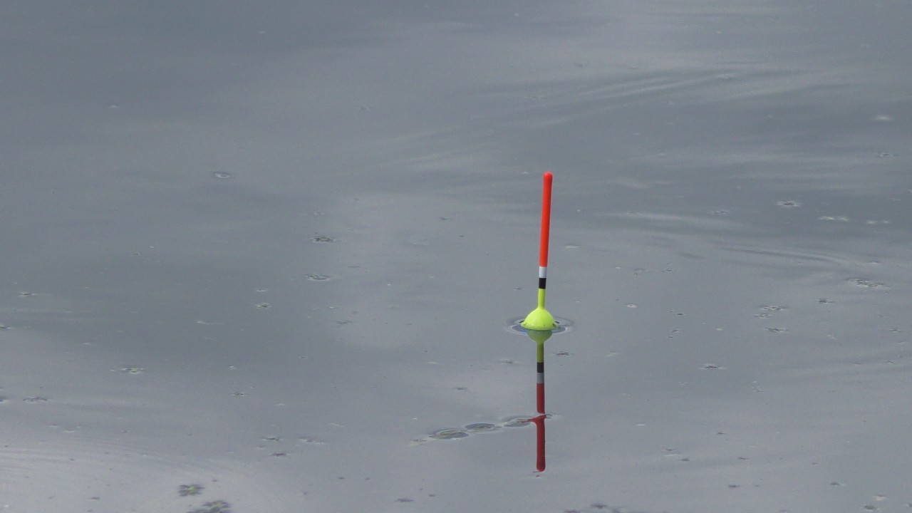 Болото вновь раздает КИЛОГРАММОВЫХ КАРАСЕЙ!!! Рыбалка на поплавок.