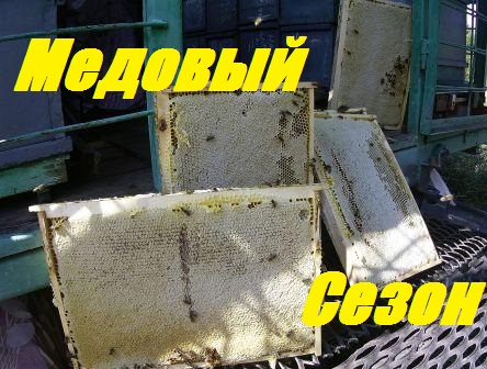 Рекордный медосбор 2021.Отводки пчёл и что делать далее.
