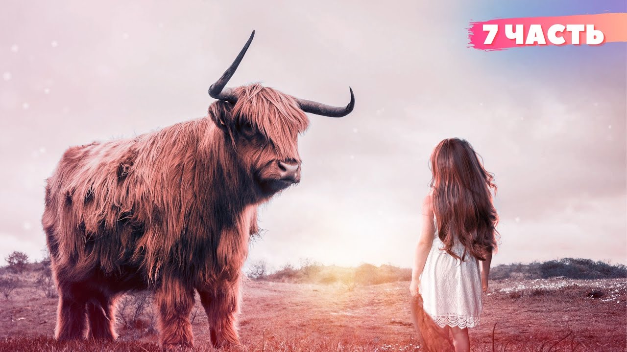 Бахрам и рабыня | Семь красавиц