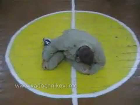 Система Кадочникова