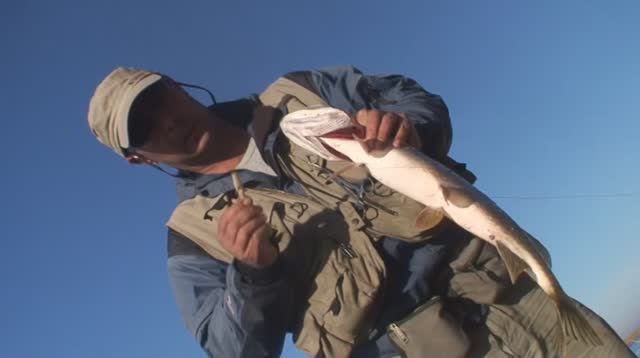 Волга.  Рыбалка с катушкой Нельма