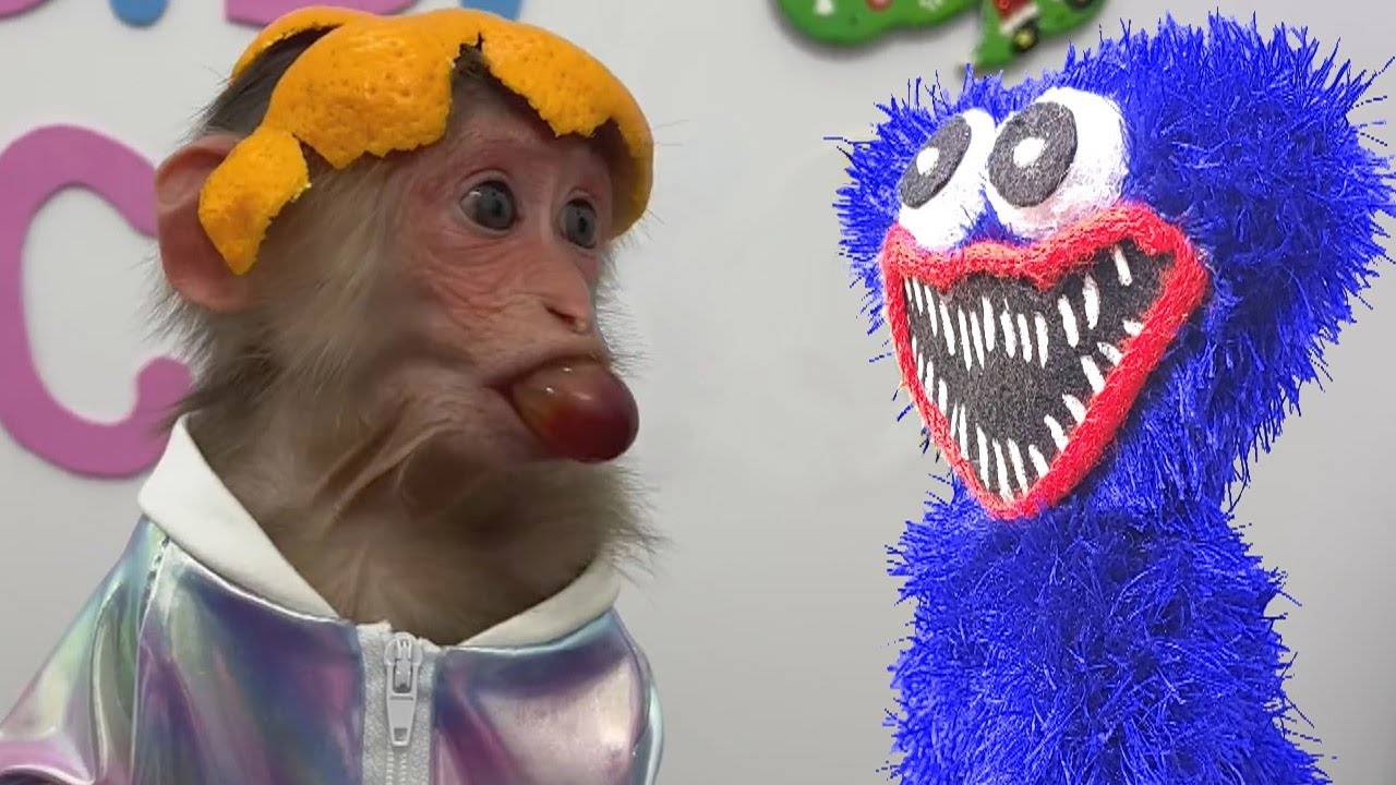 Обезьяна Укусила Хагги Вагги, Утёнок Съел Акулу, Котёнок Полез Целоваться.