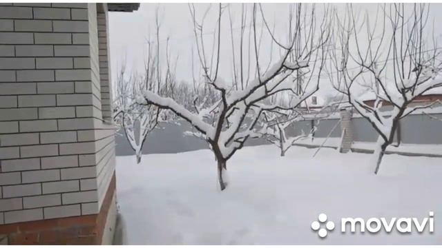 Навалило!.mp4