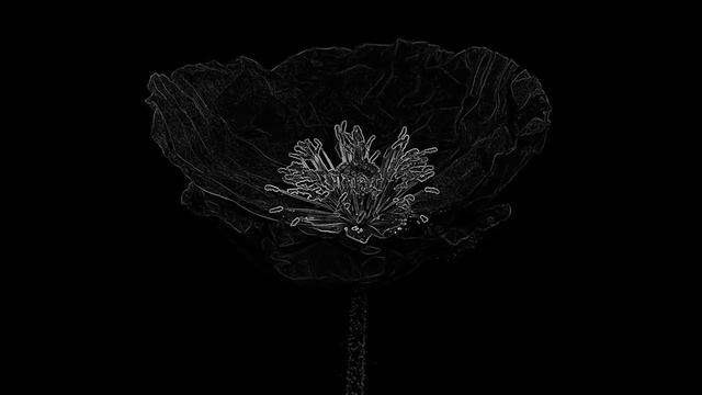 Сберечь сокровенное только для Него