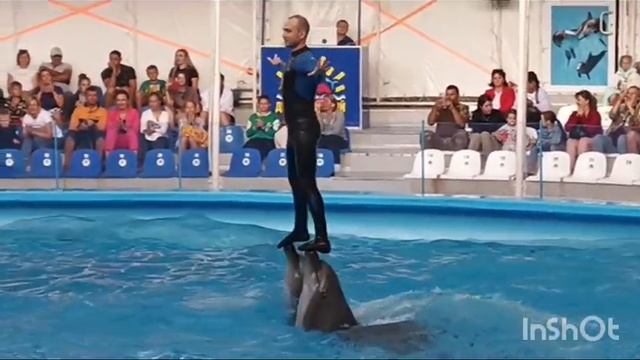 Феодосийский дельфинарий. часть 6-я.