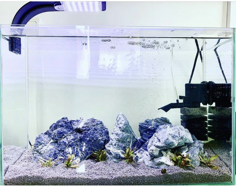 Аквариум начало. 06.09.2021    #Аквариум  #аквариумистика  #аквас  #аквамир  #aquarium