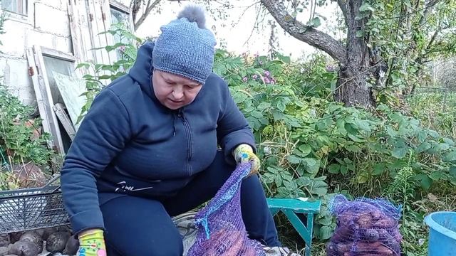 С огородом разобрались. Только бы не разболеться. Архив от 03.10.2021г.