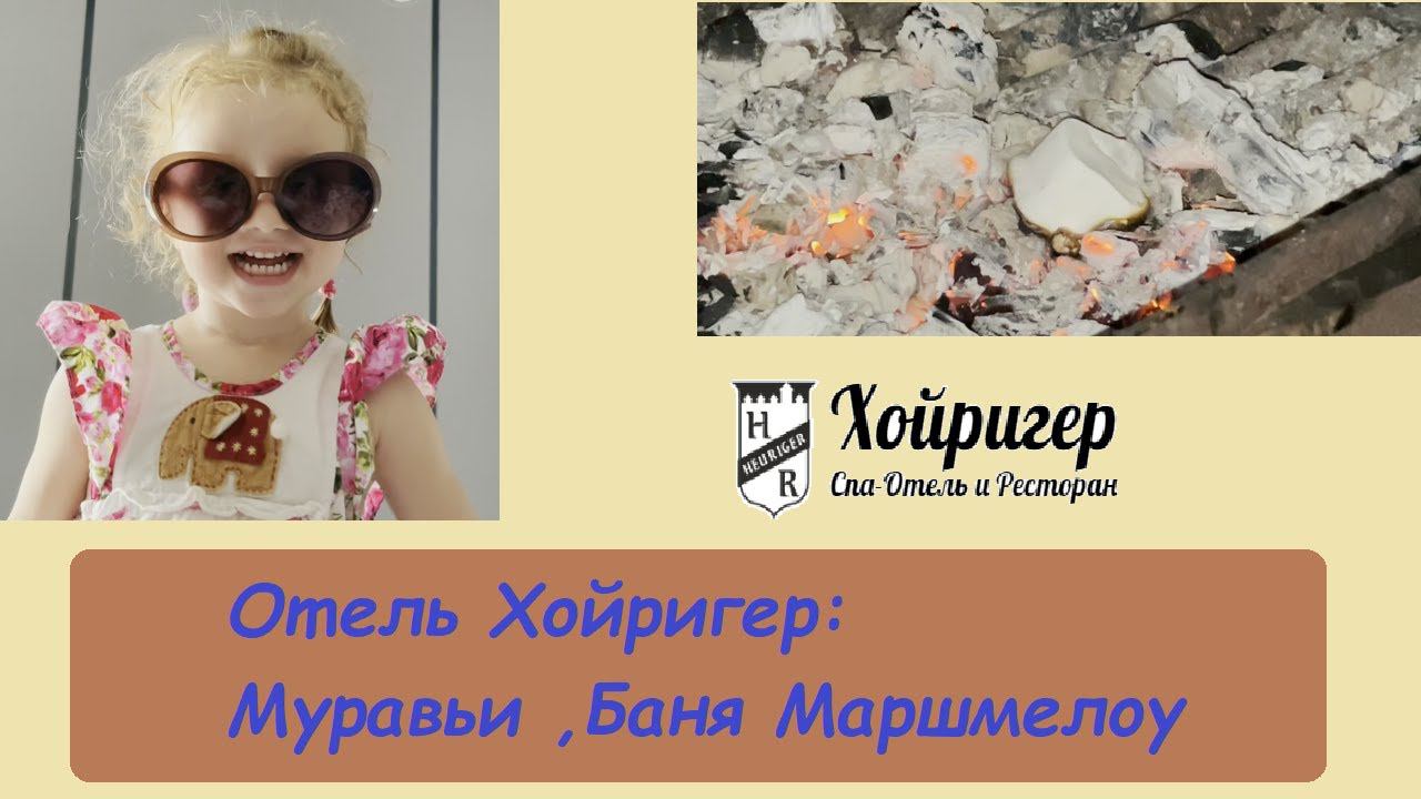 СПА Отель Хойригер. Нашествие муравьев! Баня на дровах. Как горит Маршмелоу.