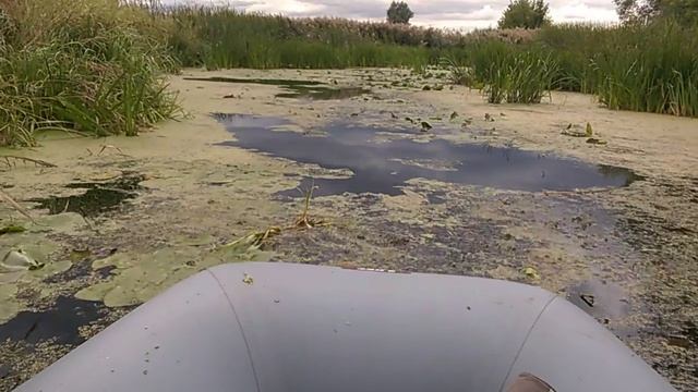 Из пипетки пар идет болтоход.