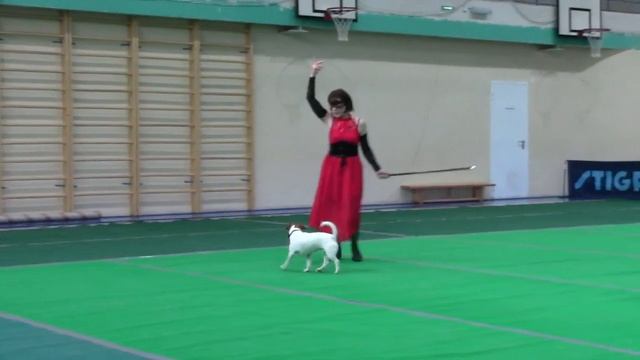 Мастер фристайл Тимошина Светлана & ТИМОНА ТЕРР