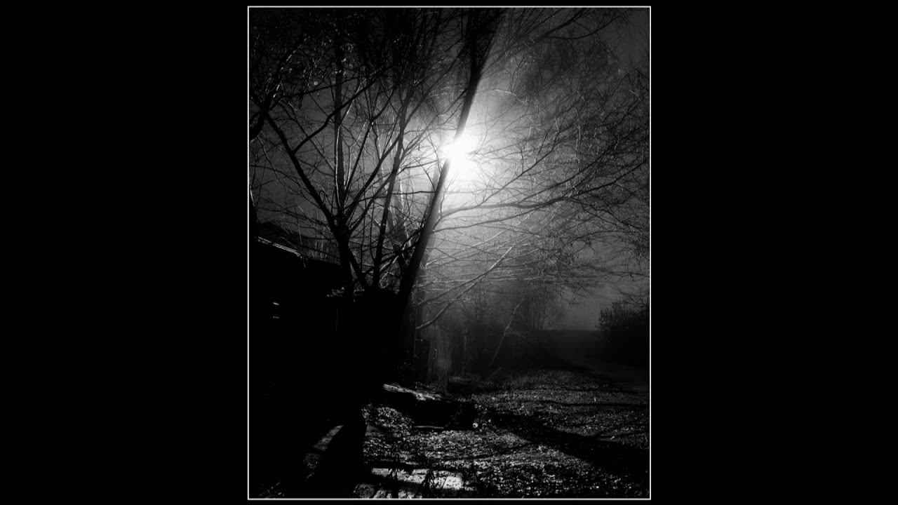 Nigh...  Fog...  Lantern...