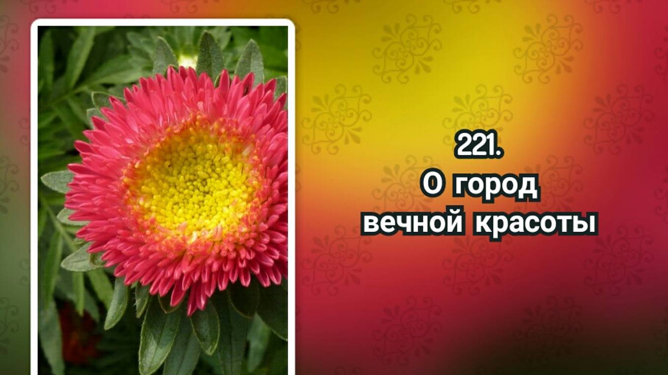 Гимны надежды 221 О город вечной красоты (-)