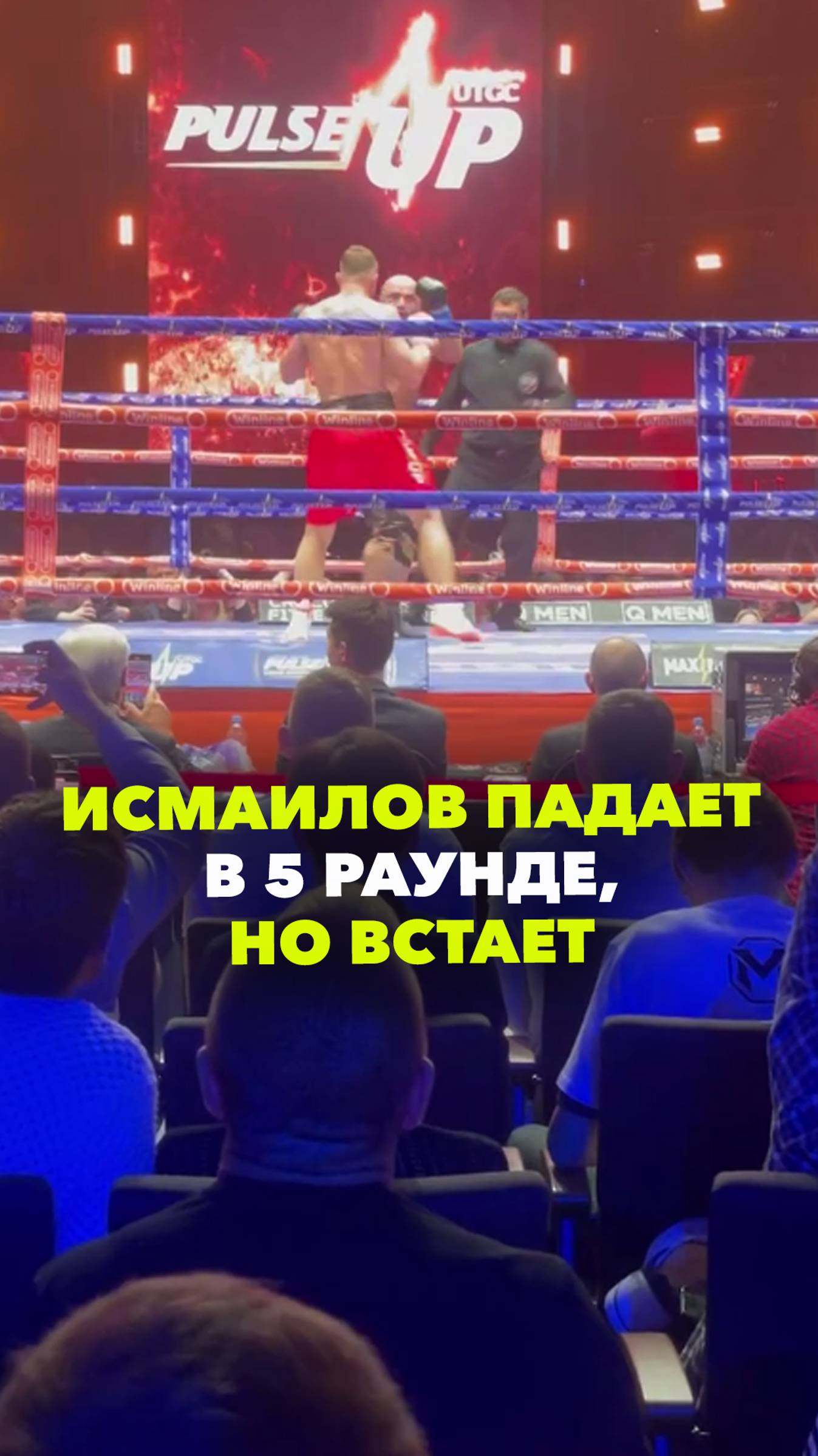 Исмаилов падает в 5 раунде, но встает. Бой с Минеевым