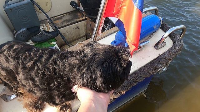 Наша жизнь в России.  Купаемся в Оке в конце августа. Путешествия на корабле.