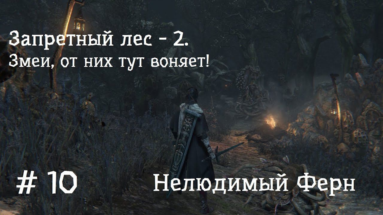 10. Bloodborne. Нелюдимый Ферн. Запретный лес-2. Змеи и предметы. Неведомая жуть на крыше