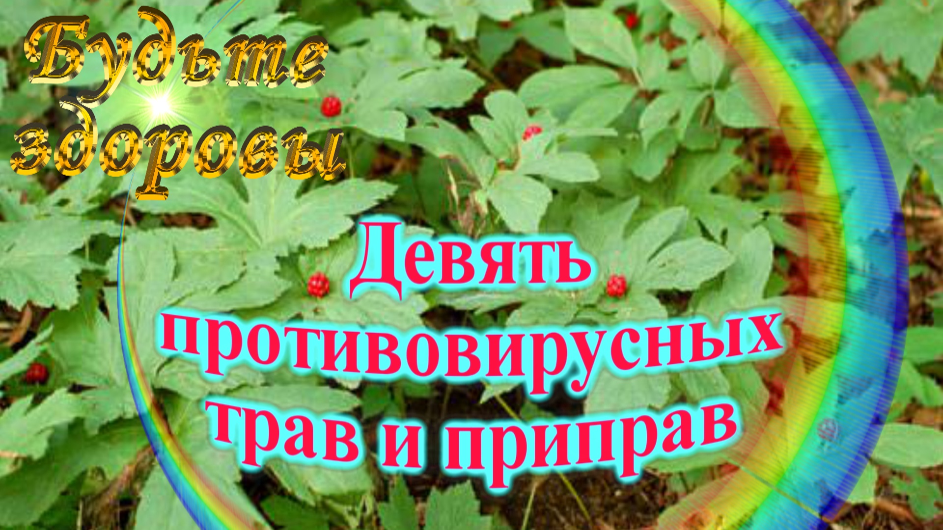 9 противовирусных трав и приправ.