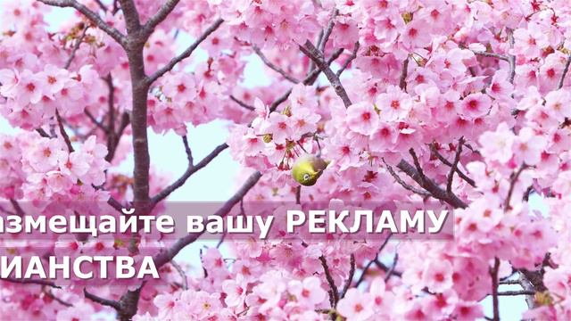 АКТУАЛЬНОЕ: Политика западных государств в отношении детей ведёт к большой трагедии - Вячеслав Волод