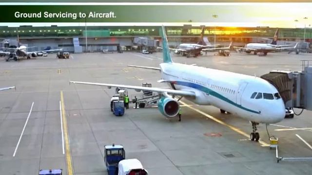 ATPL Training   Air Law #101 AERODROME BIRD HAZARDS