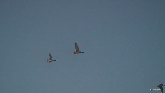 ShotCam разбор выстрелов.